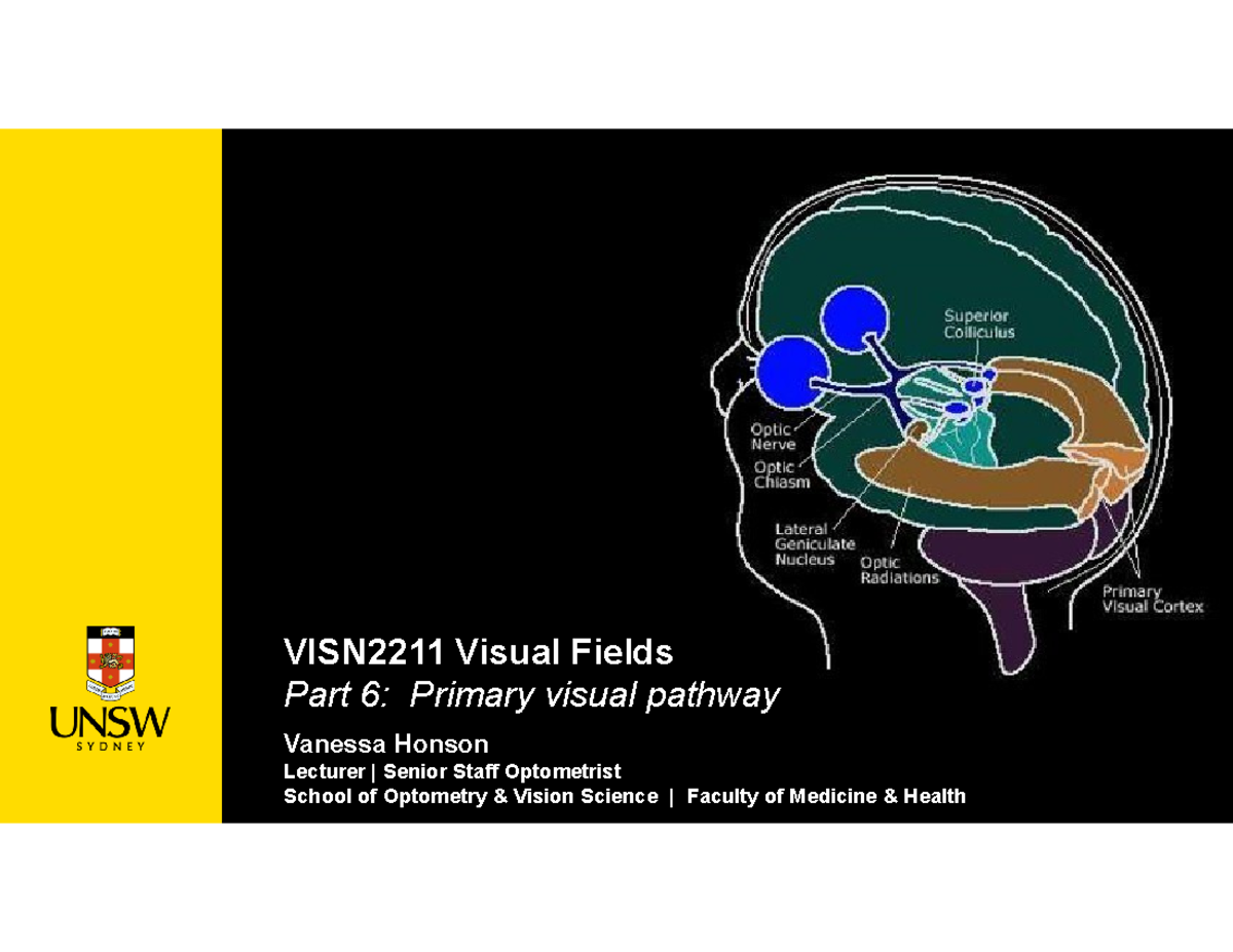 W4-5VF6 Primary visual pathway handout - VISN2211 Visual Fields Part 6 ...