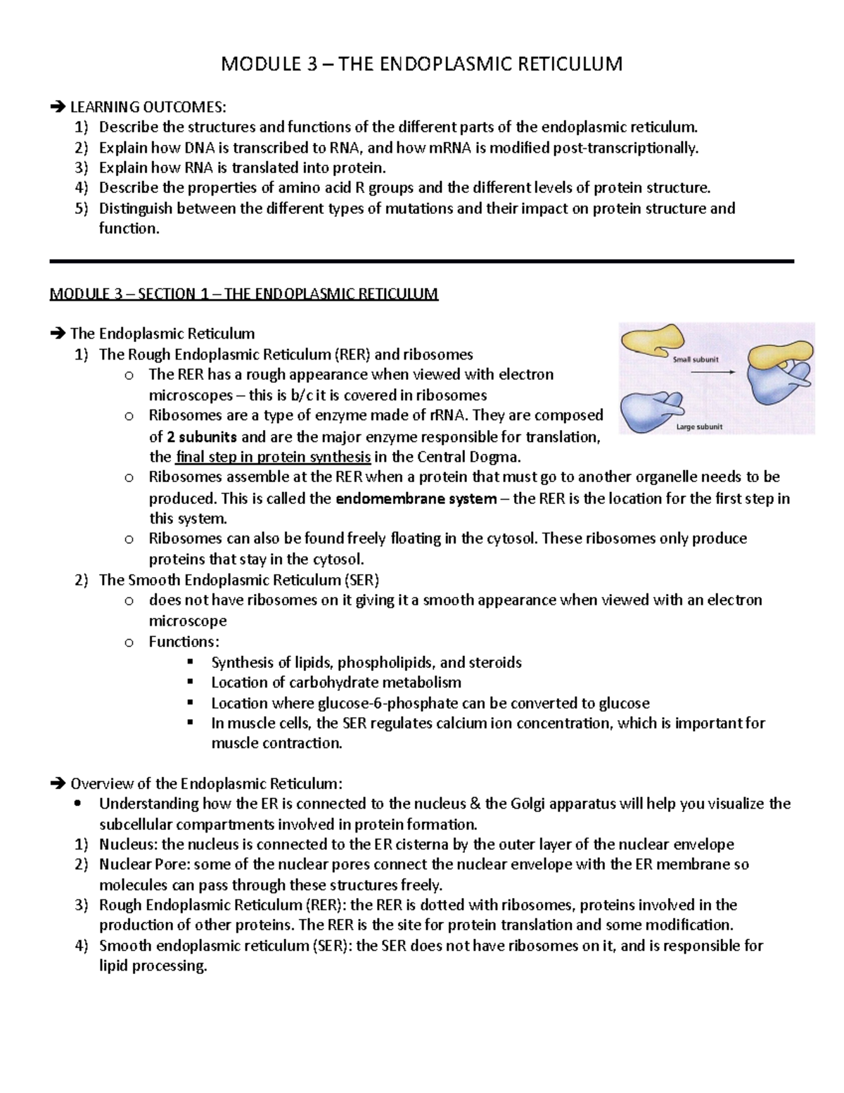 Module 3 - Endoplasmic Reticulum - MODULE 3 – THE ENDOPLASMIC RETICULUM ...