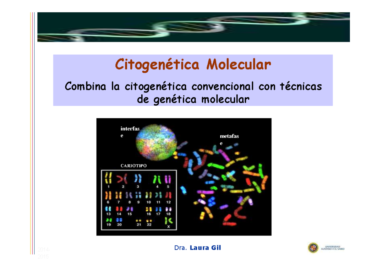 T7 - Diapositivas - Citogenética Molecular Combina la citogenética ...
