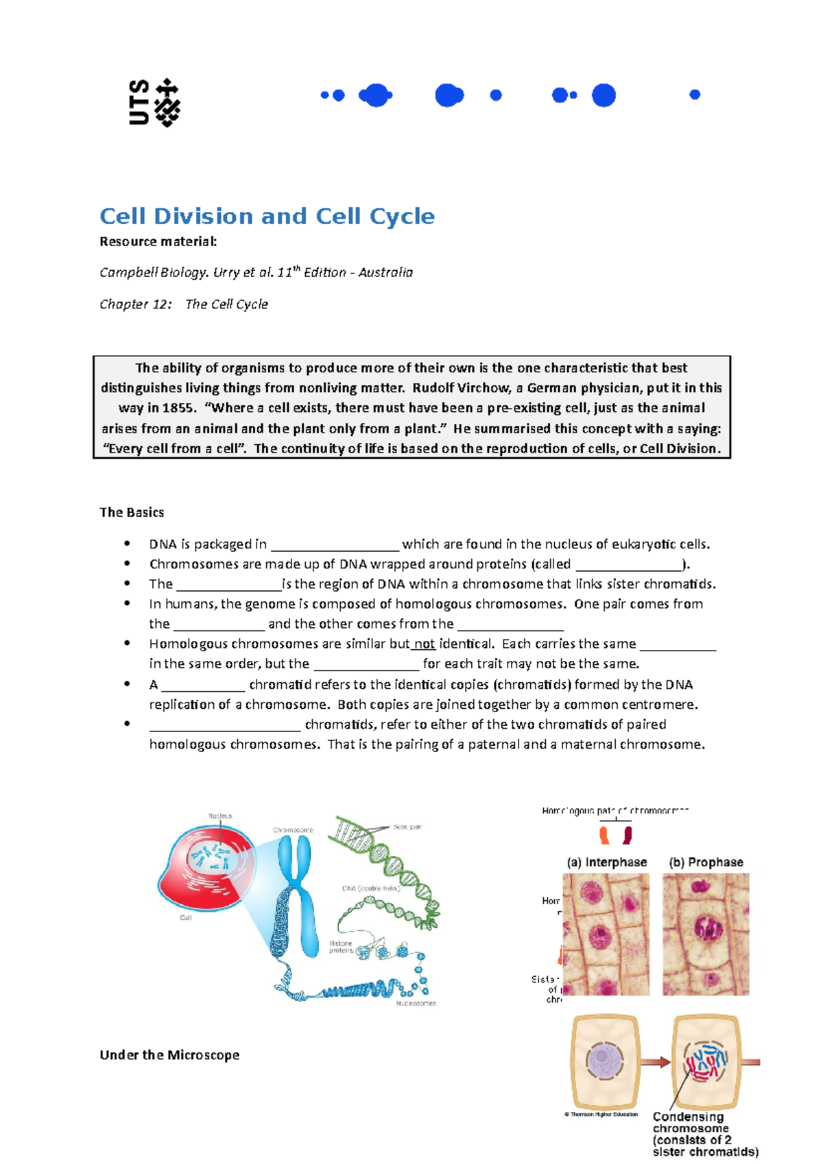 CBG at UTS - Cell division and Cell Cycle - Cell Division and Cell ...