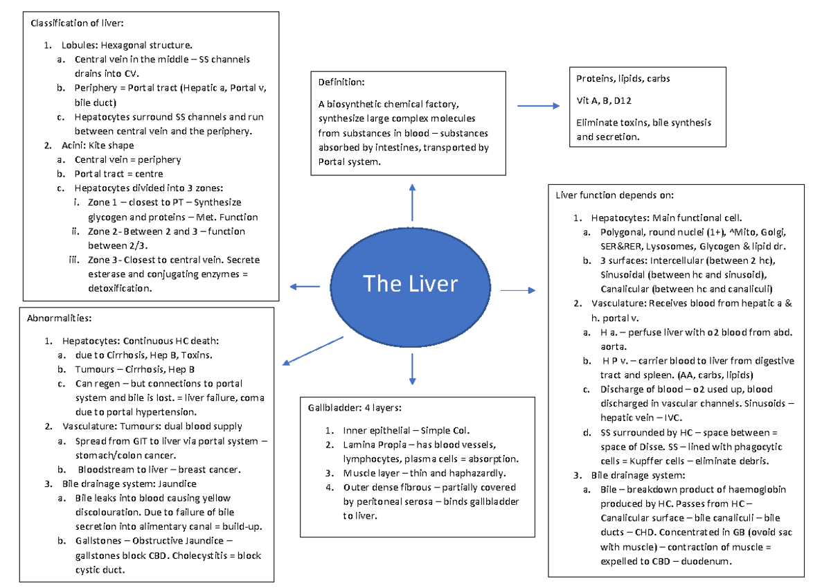 Histology - The Liver summary: Mind map - The Liver Definition: A ...