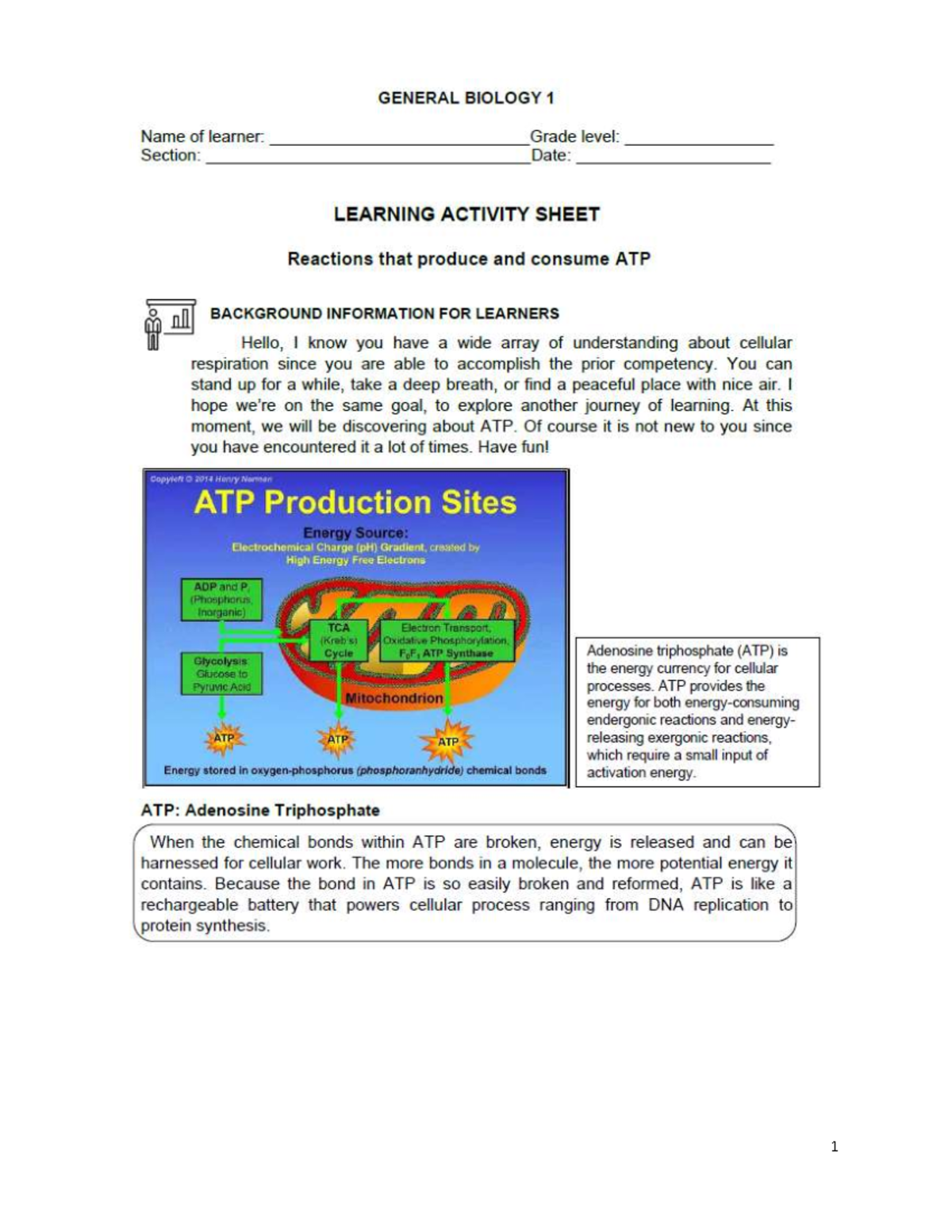 LAS WEEK 6 Reactions that produce and consume ATP - Biology - Studocu