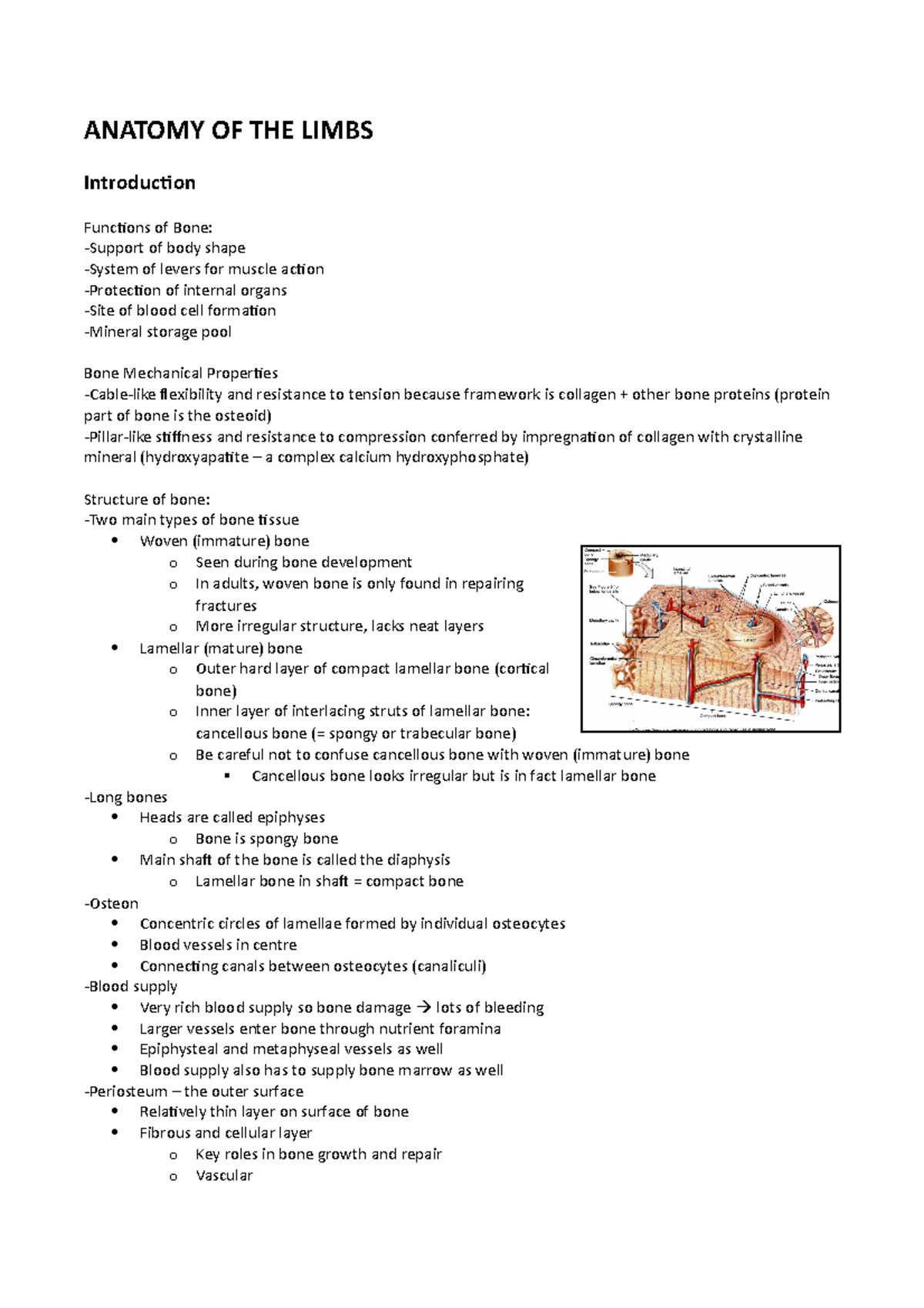 Anatomy OF THE Limbs - ANATOMY OF THE LIMBS Introduction Functions of ...