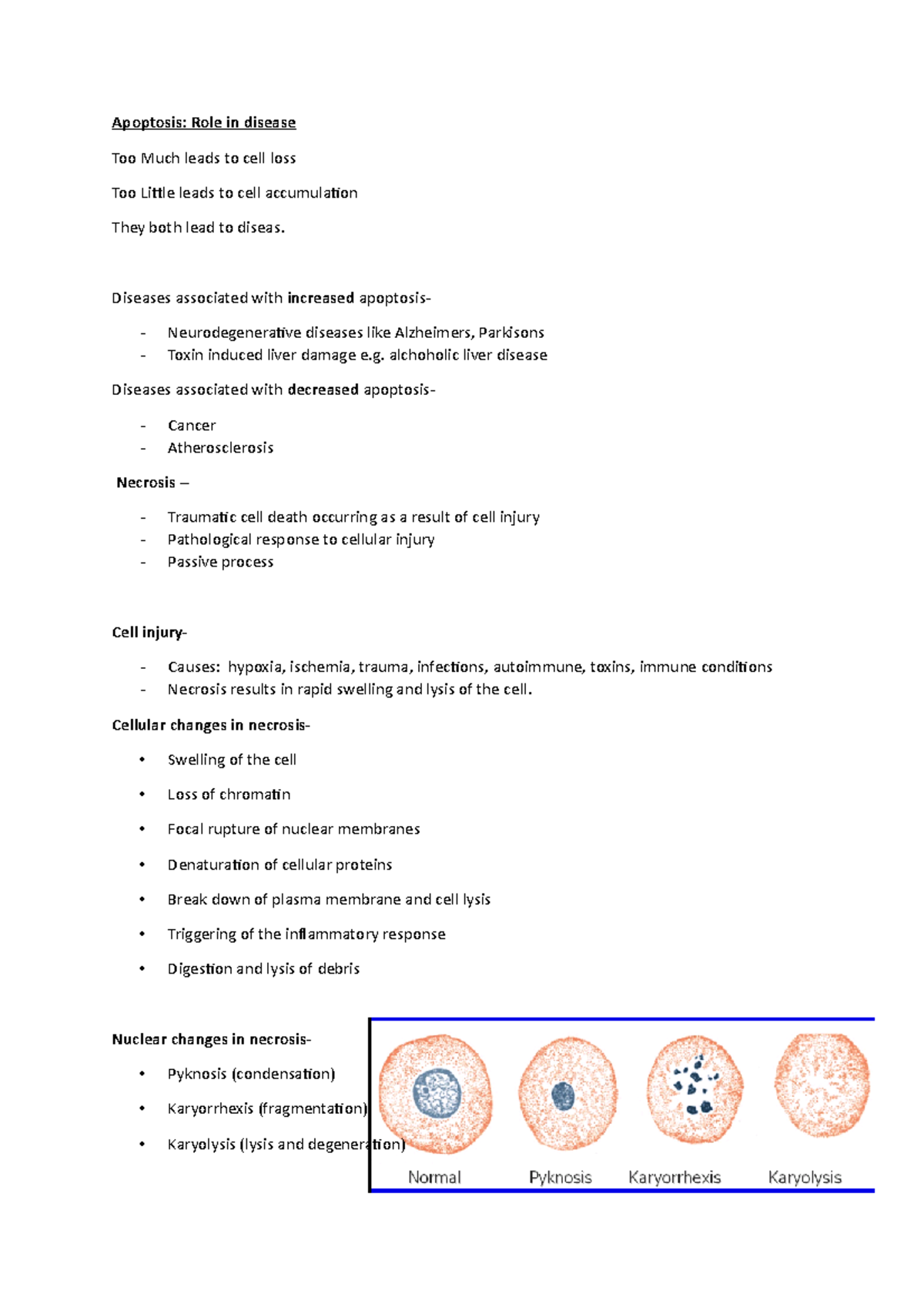 Bio Note 19 - Lecture notes 7-10 - Apoptosis: Role in disease Too Much ...