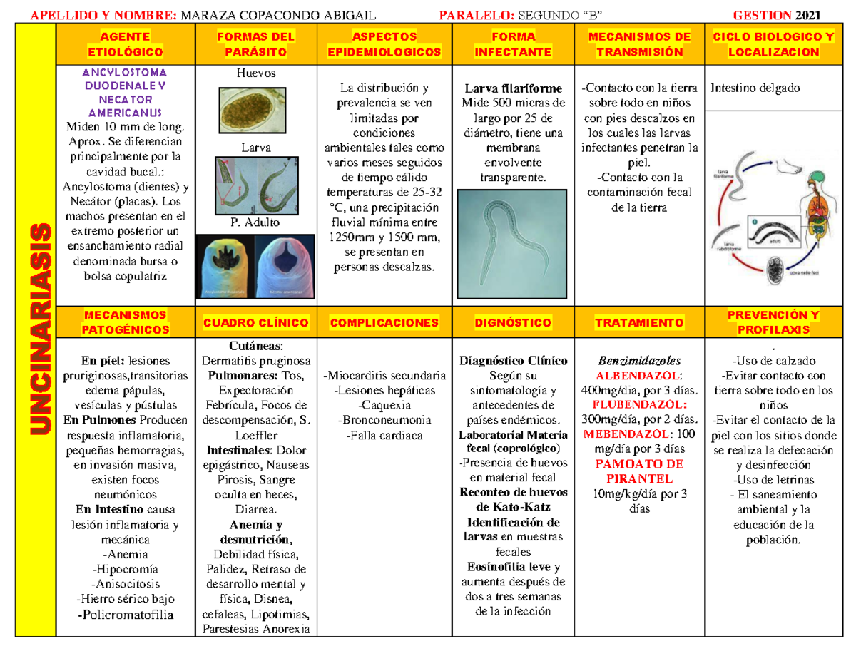 Uncinariasis resumen asdsassffgyhikikjyhgmghngvdff parasitologia humana ...