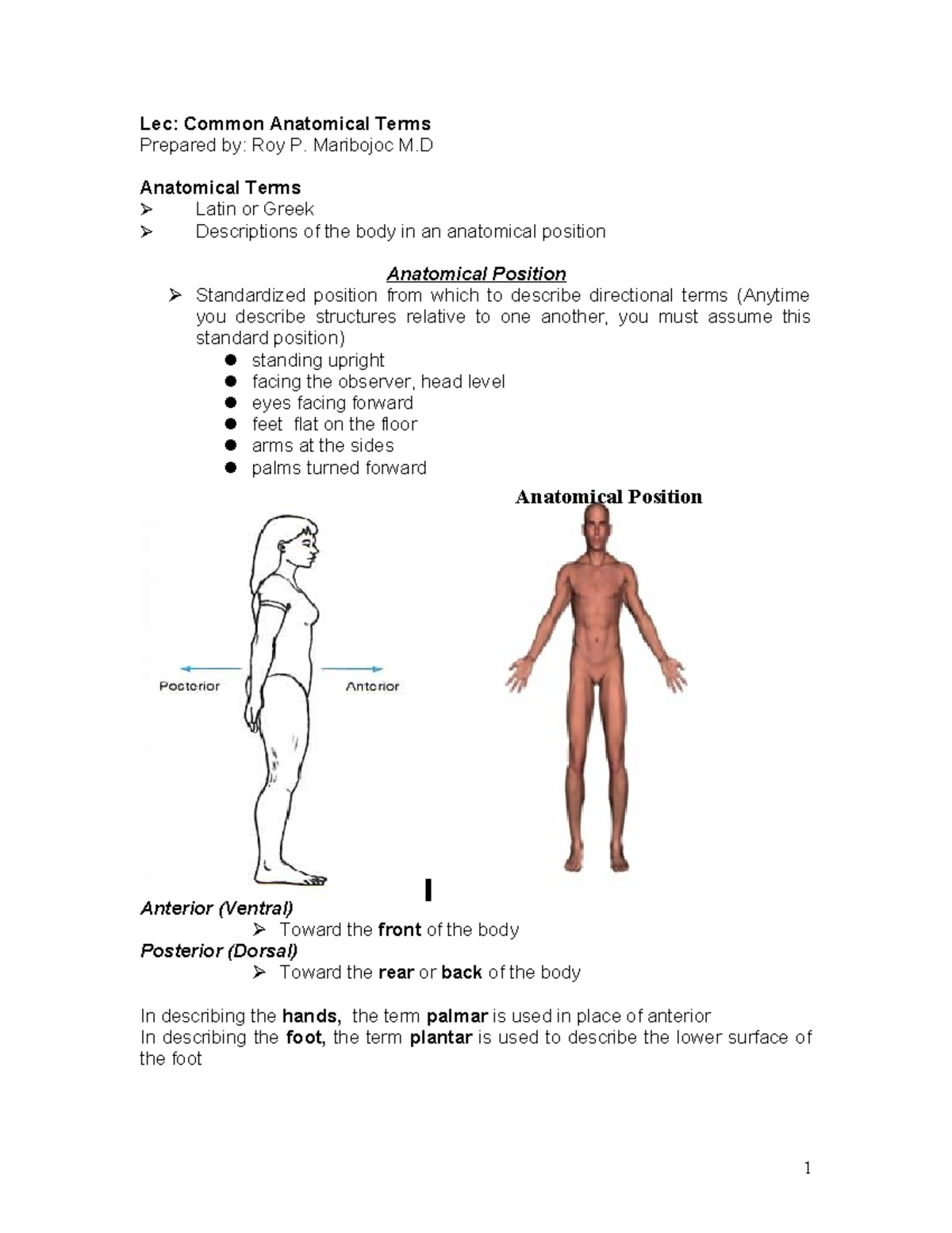Anatomical Terms - Lec: Common Anatomical Terms Prepared by: Roy P ...