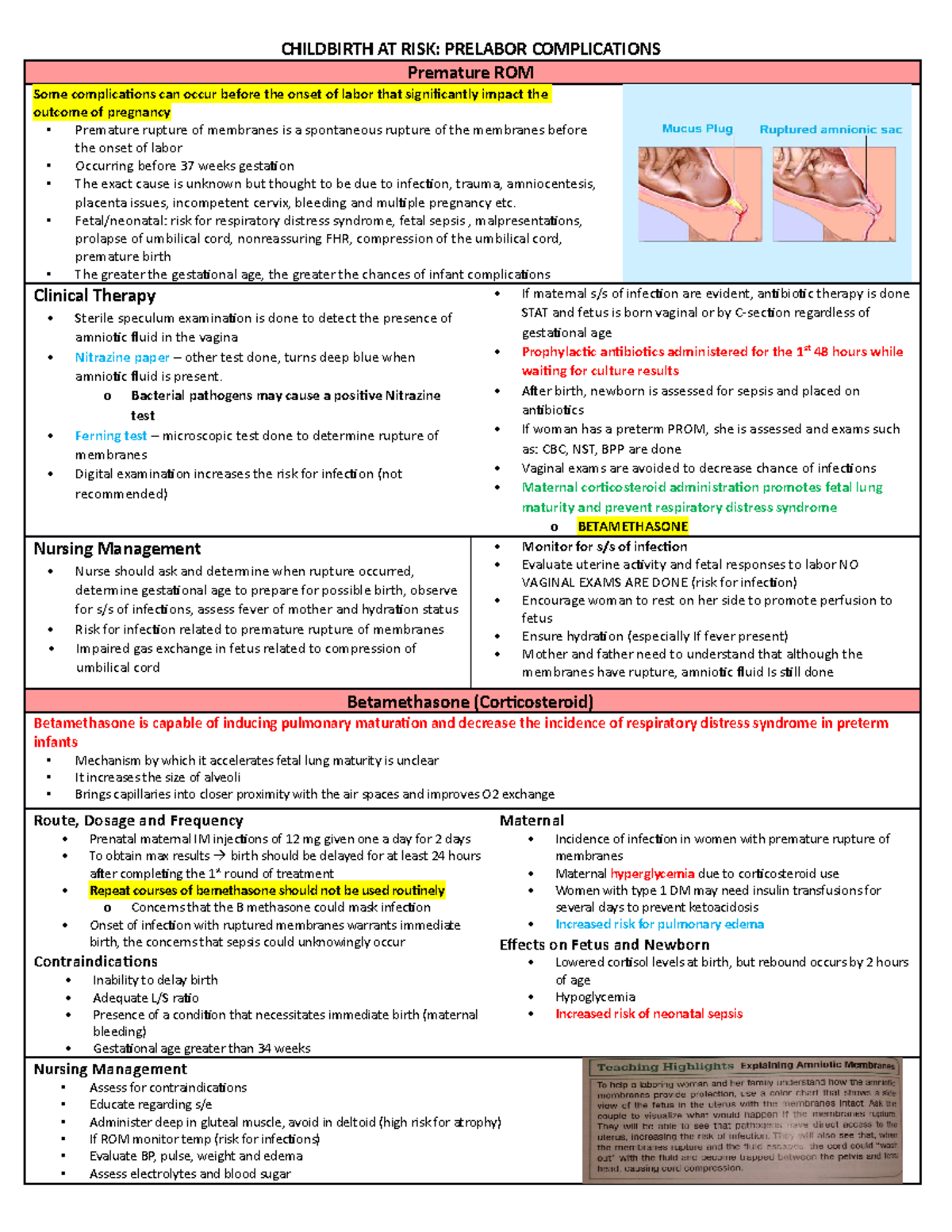 Chapter 21 Pre-labor Complications - CHILDBIRTH AT RISK: PRELABOR ...