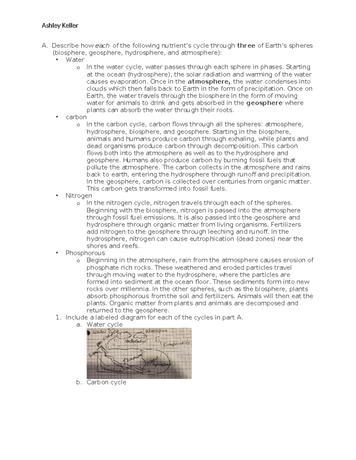 Task 2 ecology - Biochemical cycles and food webs - A. Describe how ...