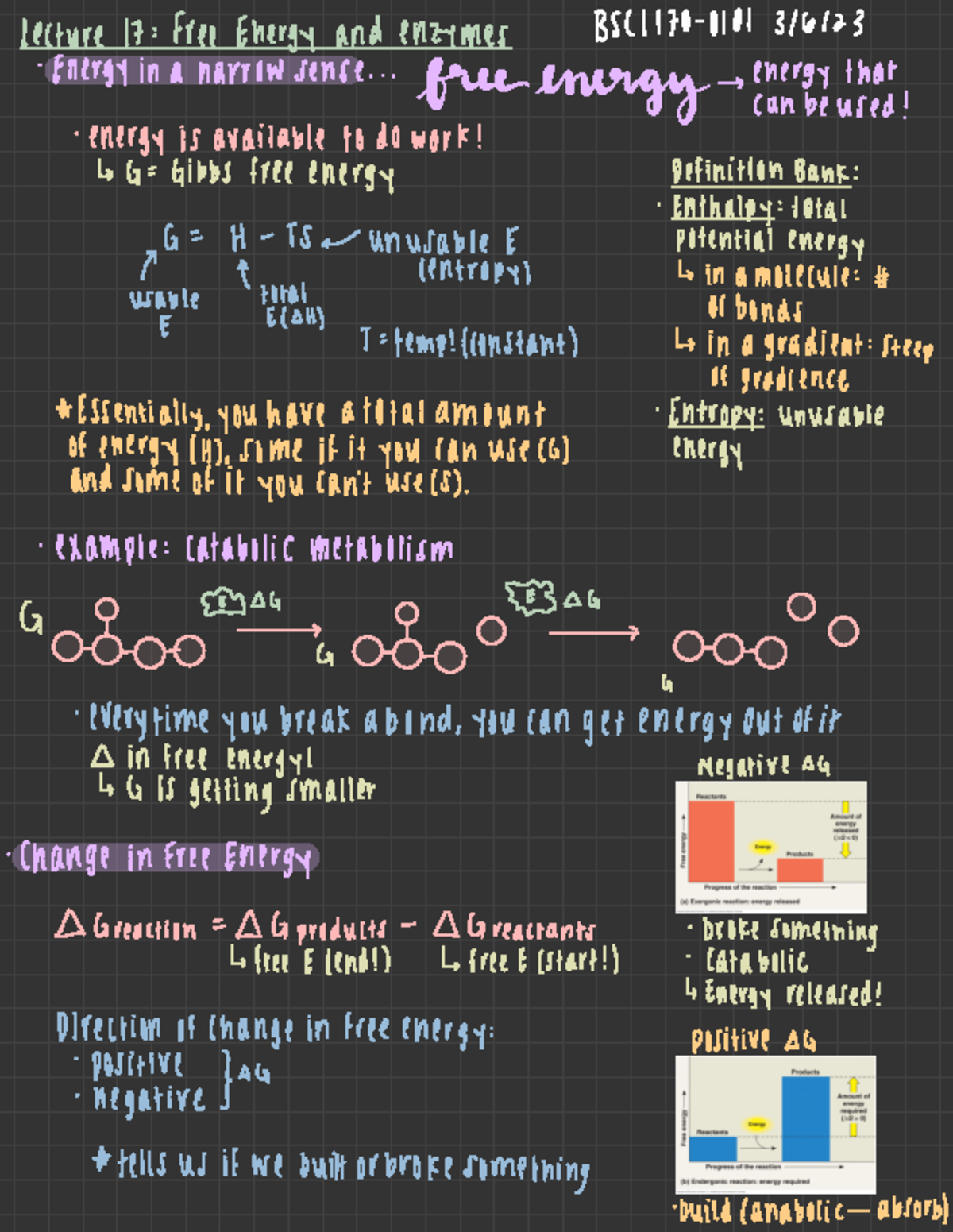 Bsci170 lecture 17 - Free energy + enzymes - Lecture 17: Free Energy ...