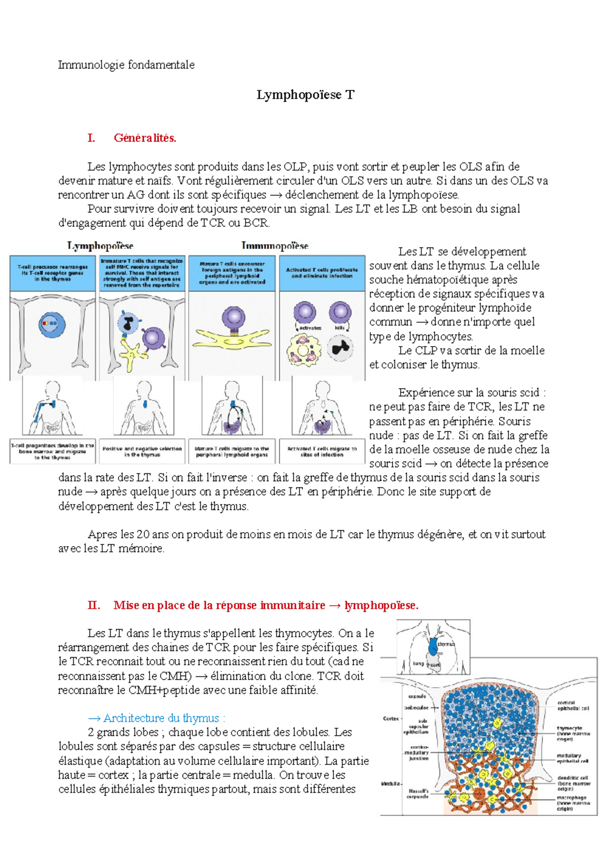 9 - Lymphopoiese T - Notes de cours 9 - Immunologie fondamentale ...