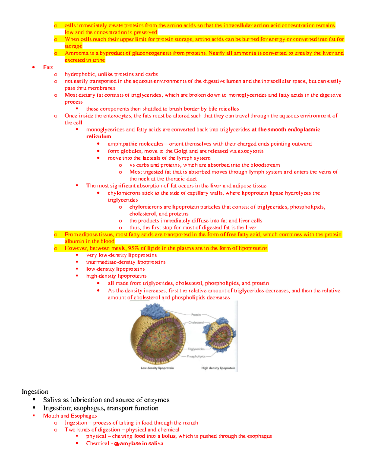 Lecture notes detailed content (1) 22-22 - o cells immediately create ...