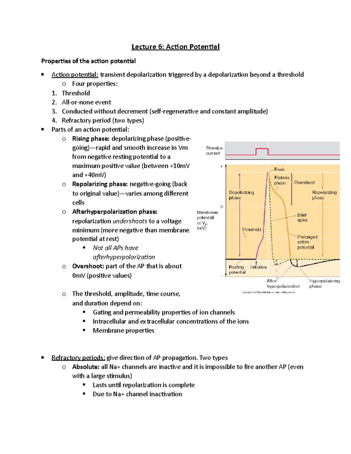 Lecture 6 - fall term - Lecture 6: Action Potential Properties of the ...
