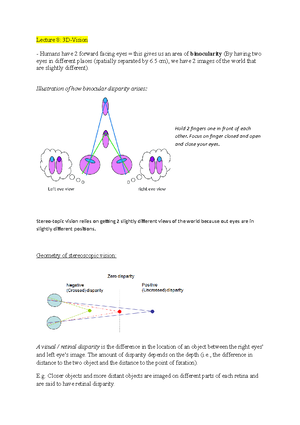 Lecture 3- Visual Perception - Lecture 3: Colour The nature of light ...