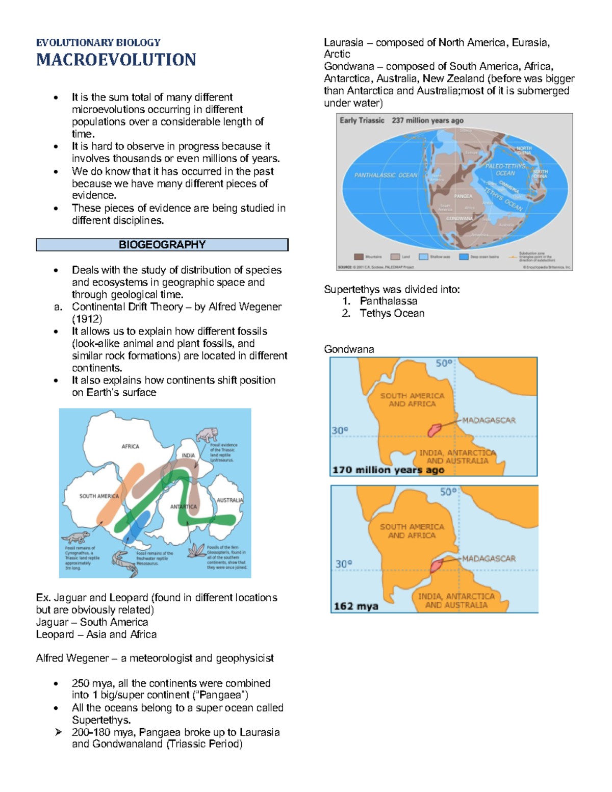Lec 5 Macroevolution Evolutionary Biology Macroevolution It Is The Sum Total Of Many