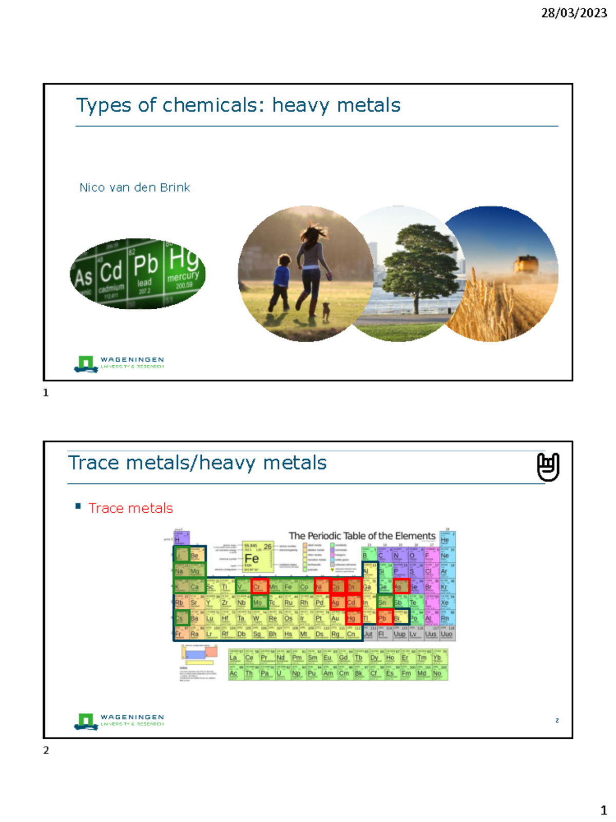 5-Types of chemicals metals - Types of chemicals: heavy metals Nico van ...