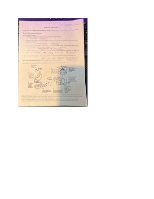 Lecture 5 homework - Lecture 5 Homework Critical Thinking Here is a ...