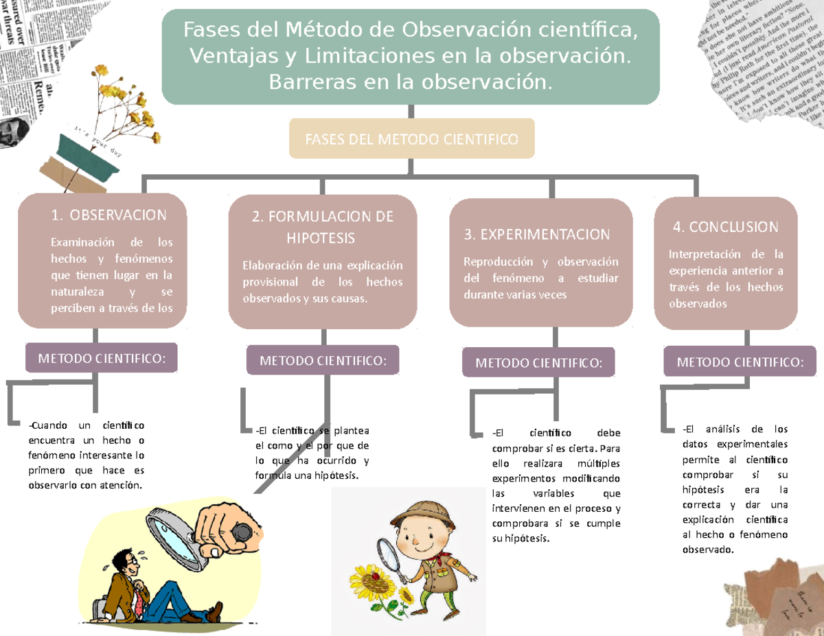 PC1 observacion mapa - FASES DEL METODO CIENTIFICO Fases del Método de ...