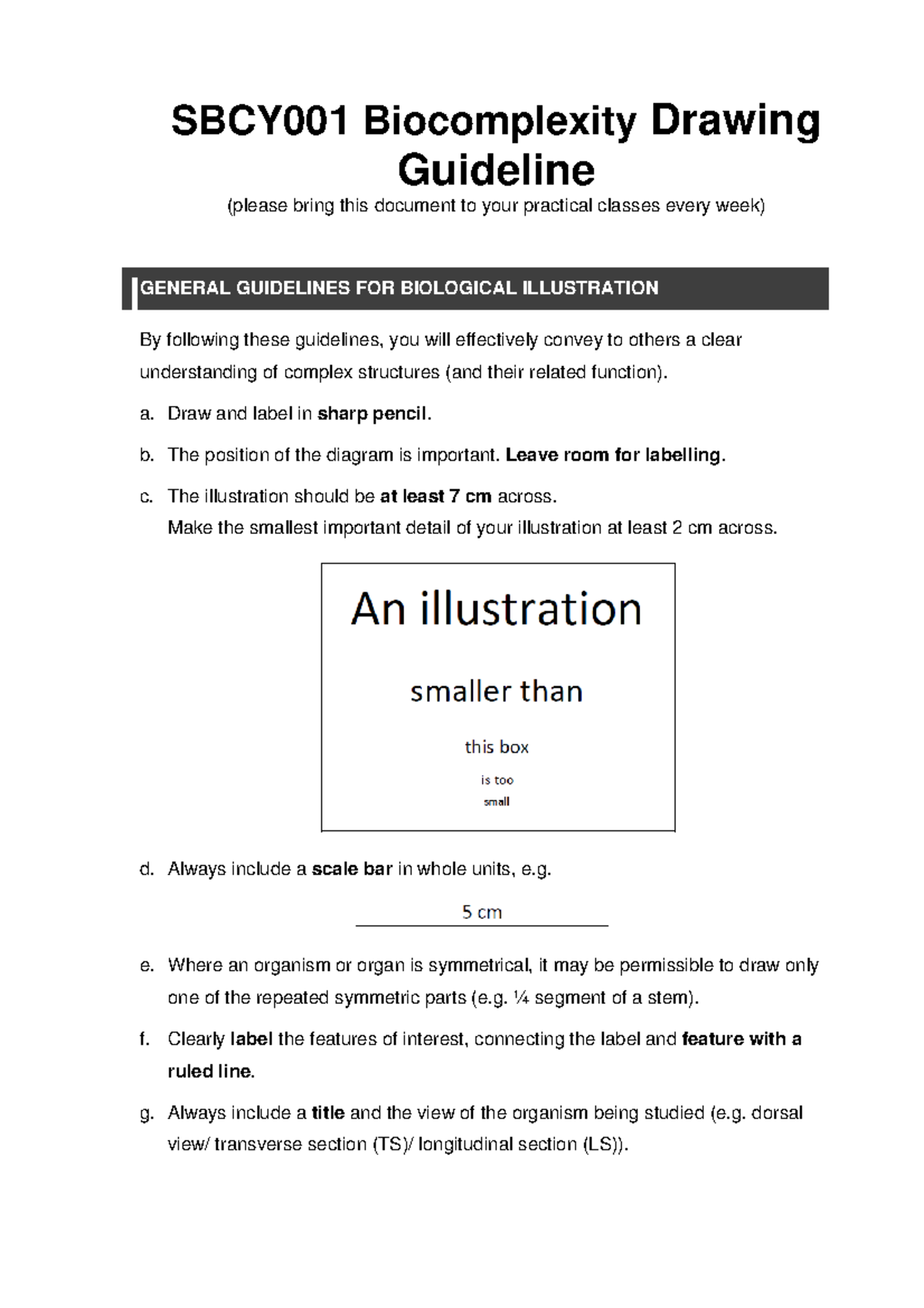 Drawing Guidelines - GENERAL GUIDELINES FOR BIOLOGICAL ILLUSTRATION By ...