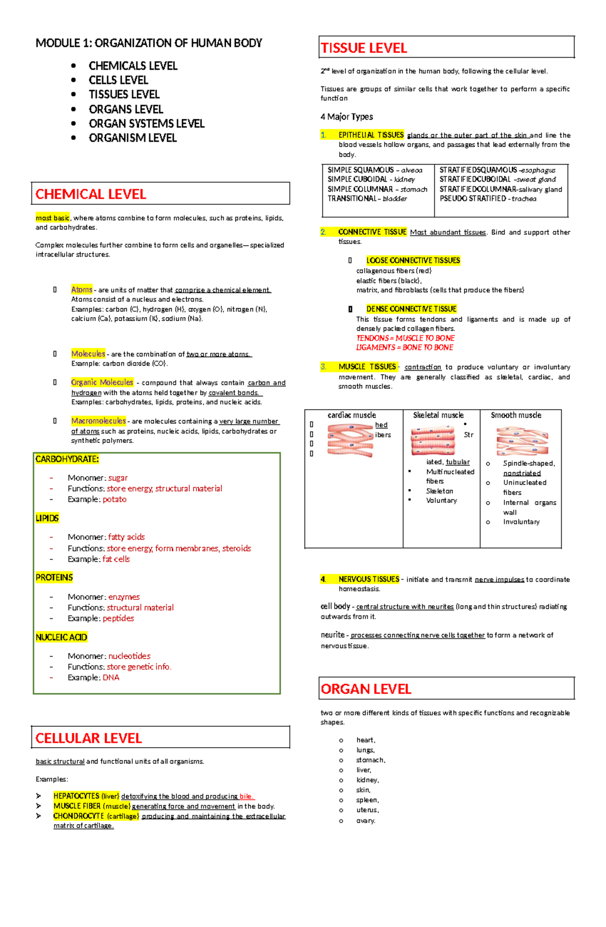 Anaphy Chapter 1 - MODULE 1: ORGANIZATION OF HUMAN BODY CHEMICALS LEVEL ...