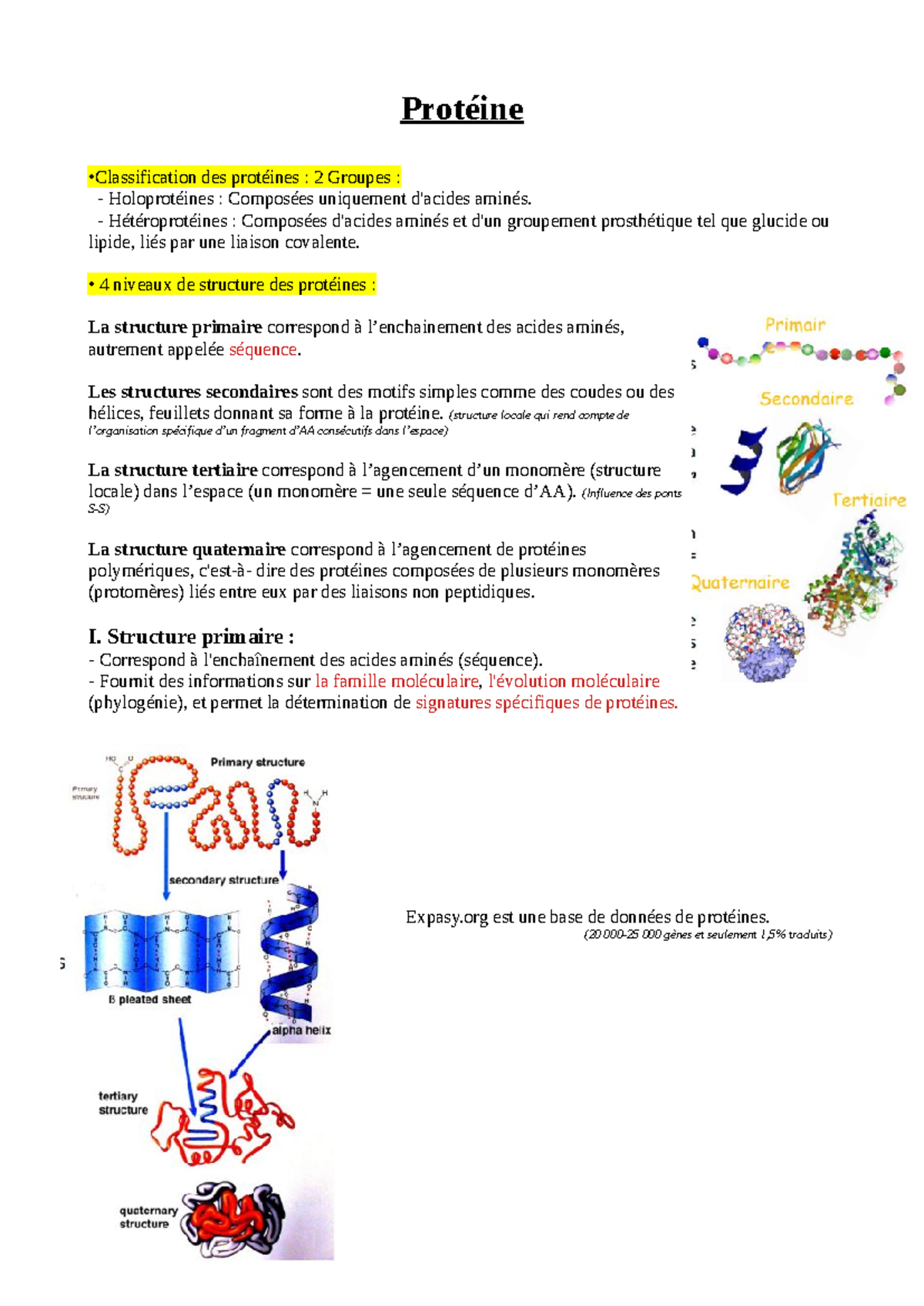 4. Protéines - Protéine •Classification des protéines : 2 Groupes : - Holoprotéines : Composées ...