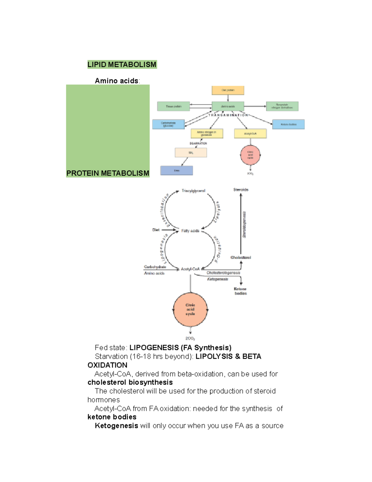 Lipid Metabolism - notes - LIPID METABOLISM ฀ Amino acids : PROTEIN ...