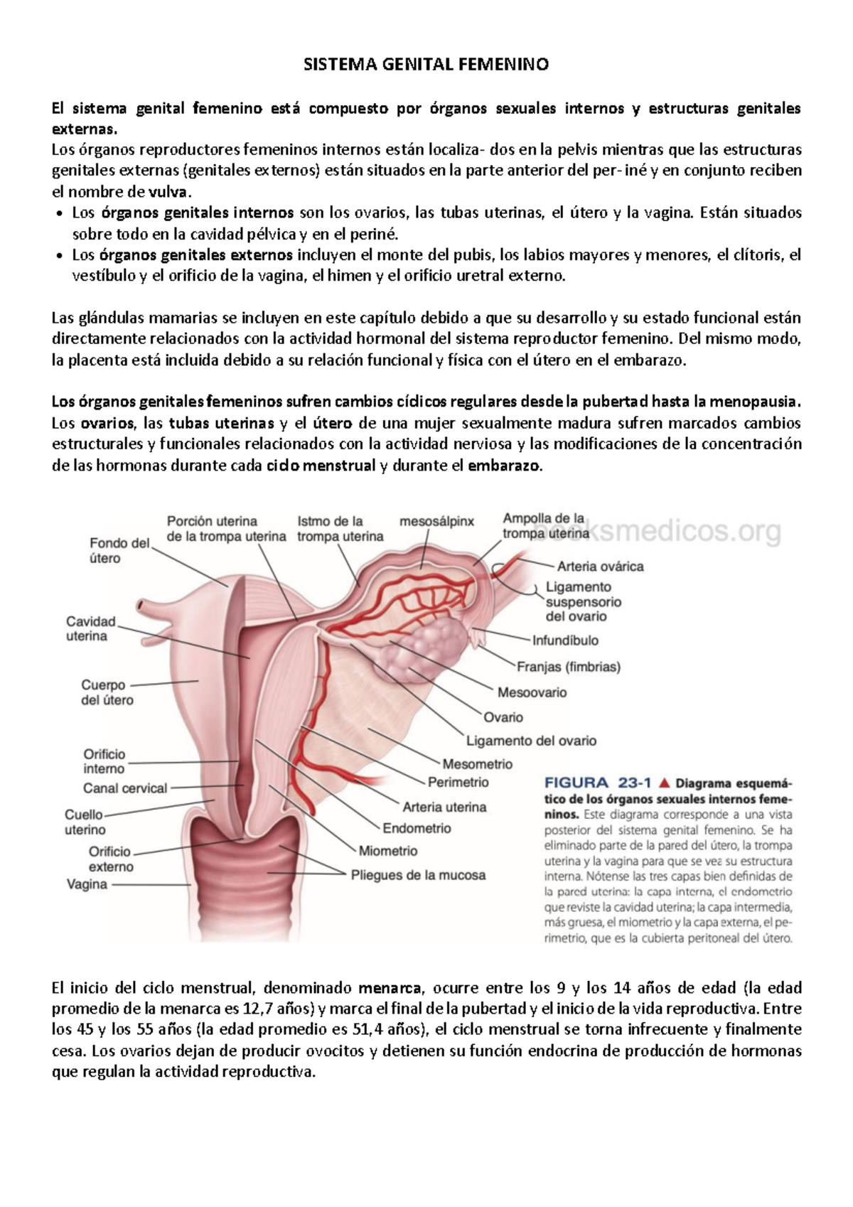 Histo Sistema Genital Femenino - Warning: TT: undefined function: 32 Warning: TT: undefined ...
