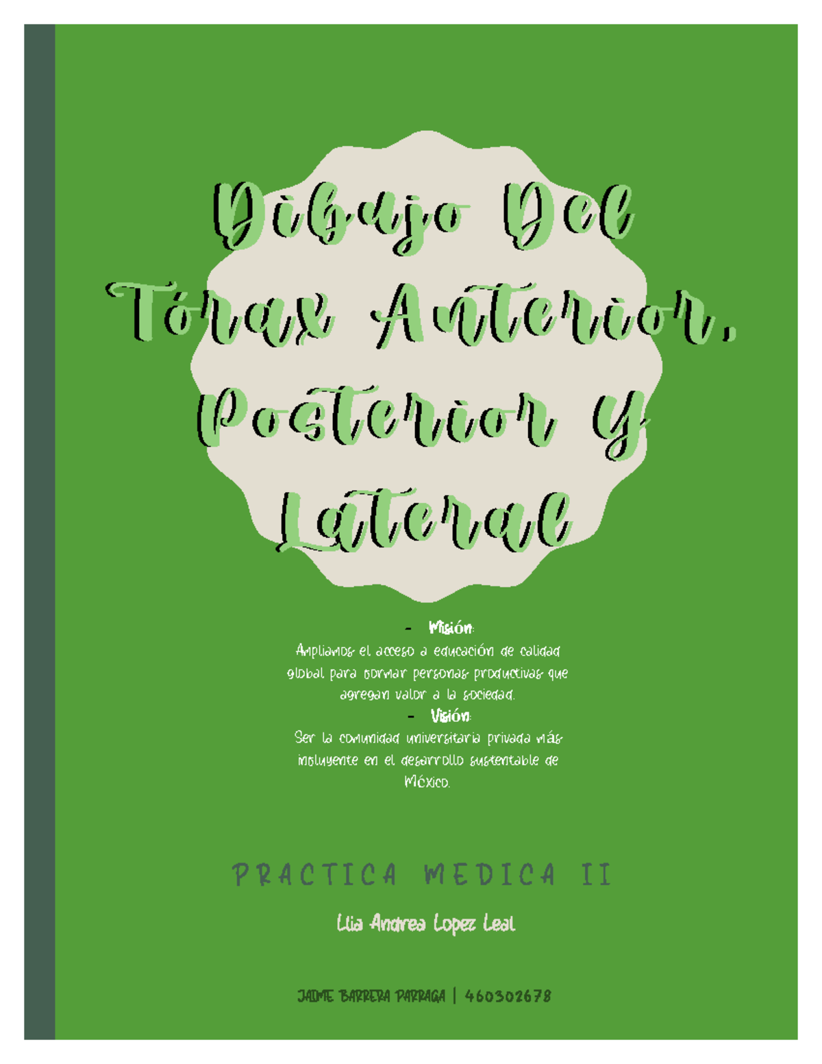 Dibujo Del Tórax Anterior, Posterior Y Lateral - D i b u j o D e l T ó ...