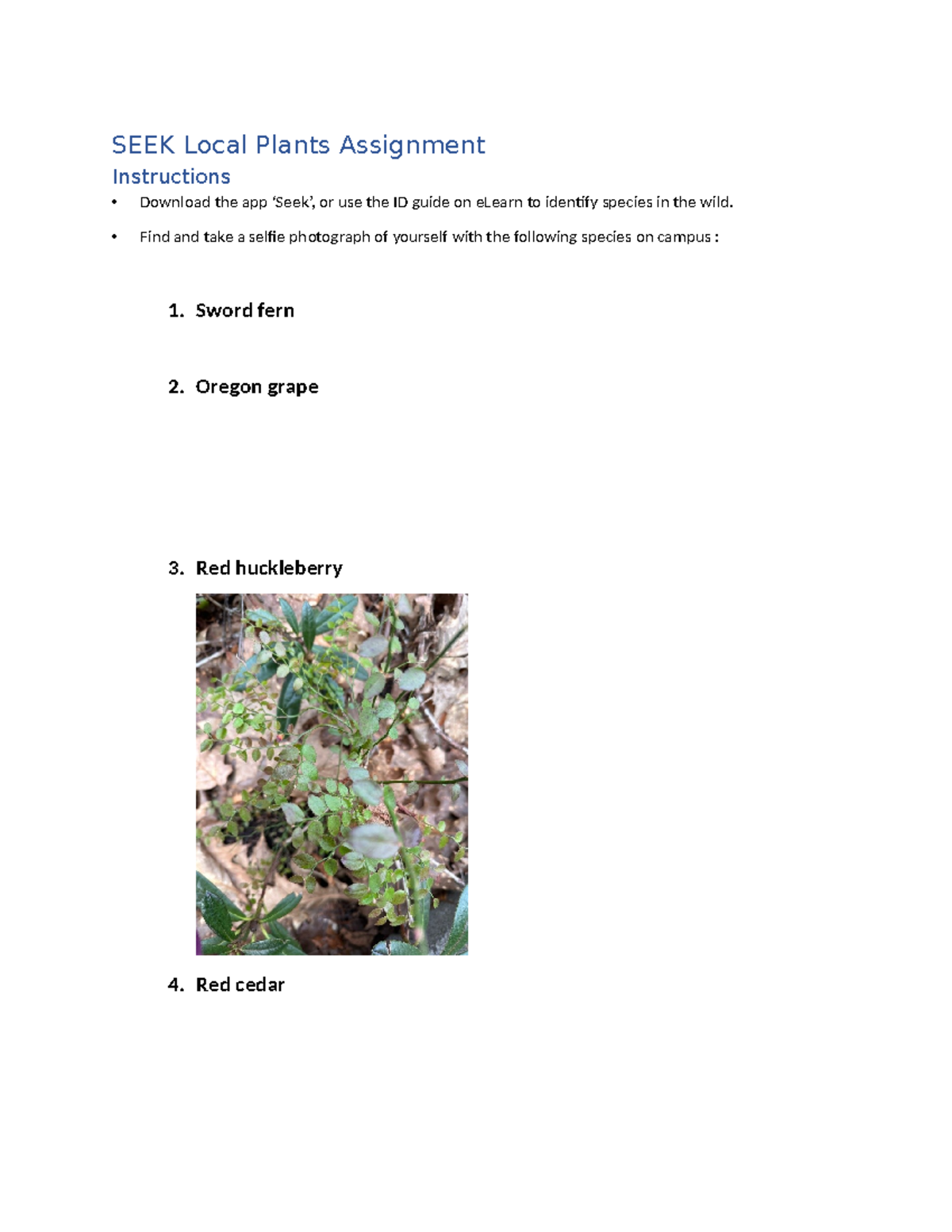 SEEK assignment - SEEK Local Plants Assignment Instructions • Download the app ‘Seek’, or use ...