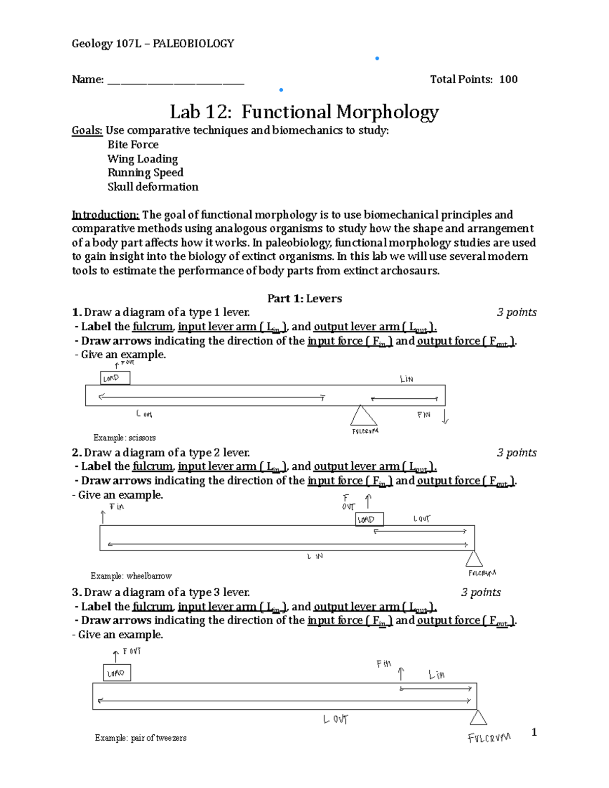 Lab 12 - Lab - Name: _______________________________ Total Points: 100 ...