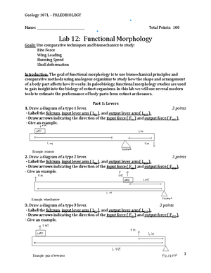 Lab 14 - Lab - Name: Total Points: 60 Lab 14: Microfossils Introduction ...
