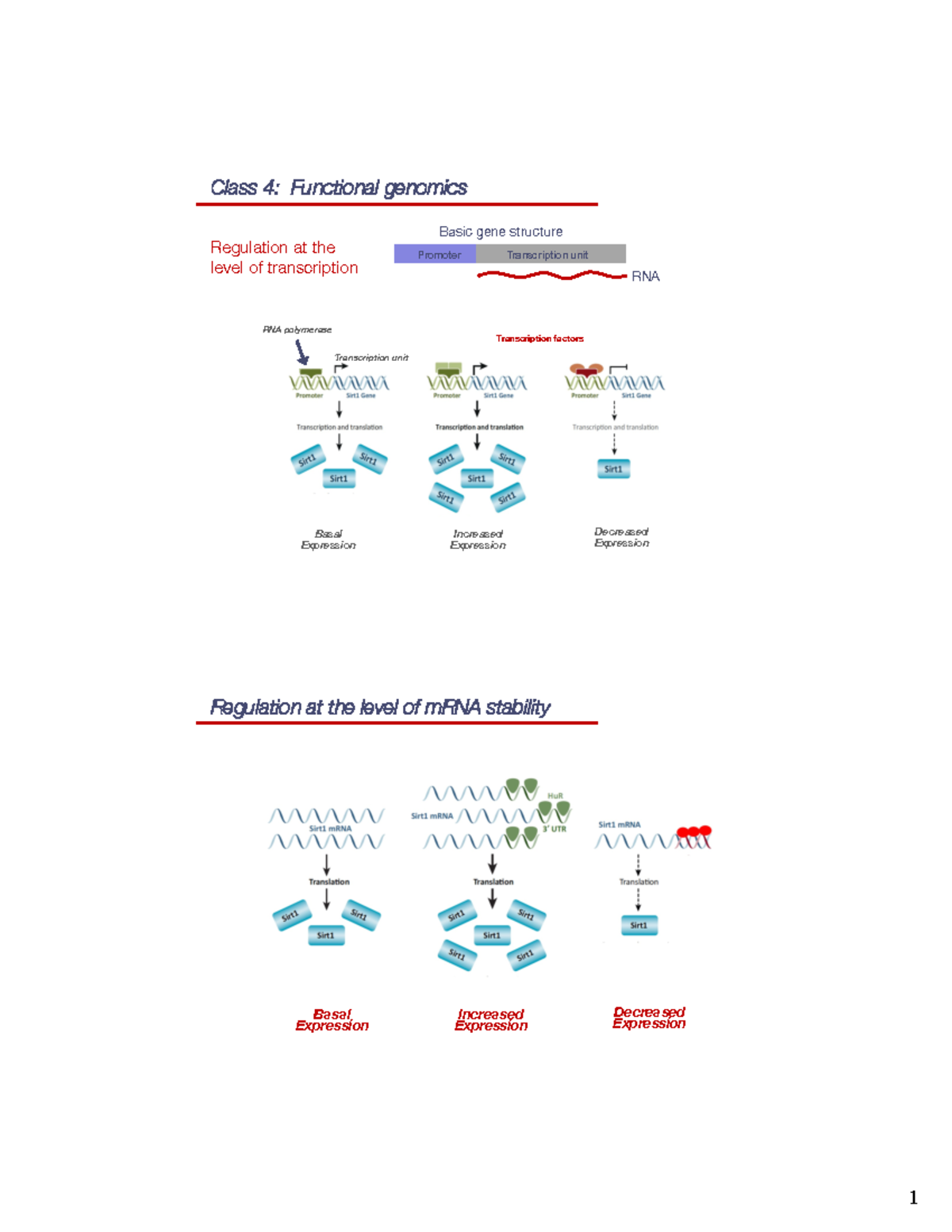 Class 4 Notes-1 - Maxwell Lecture notes - Regulation at the level of ...