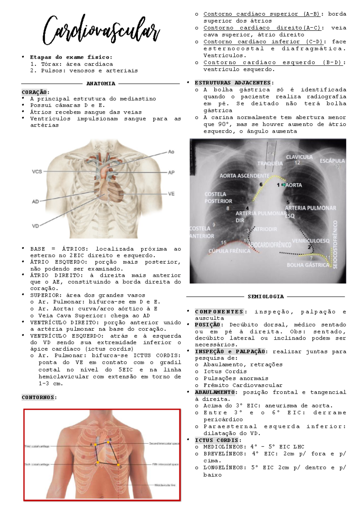 Cardio resumo aula prof - Cardiovascular Etapas do exame físico: Tórax ...