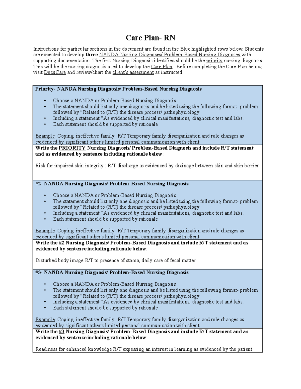 RN Care Planning Tool 082024 - Care Plan- RN Instructions for particular sections in the ...