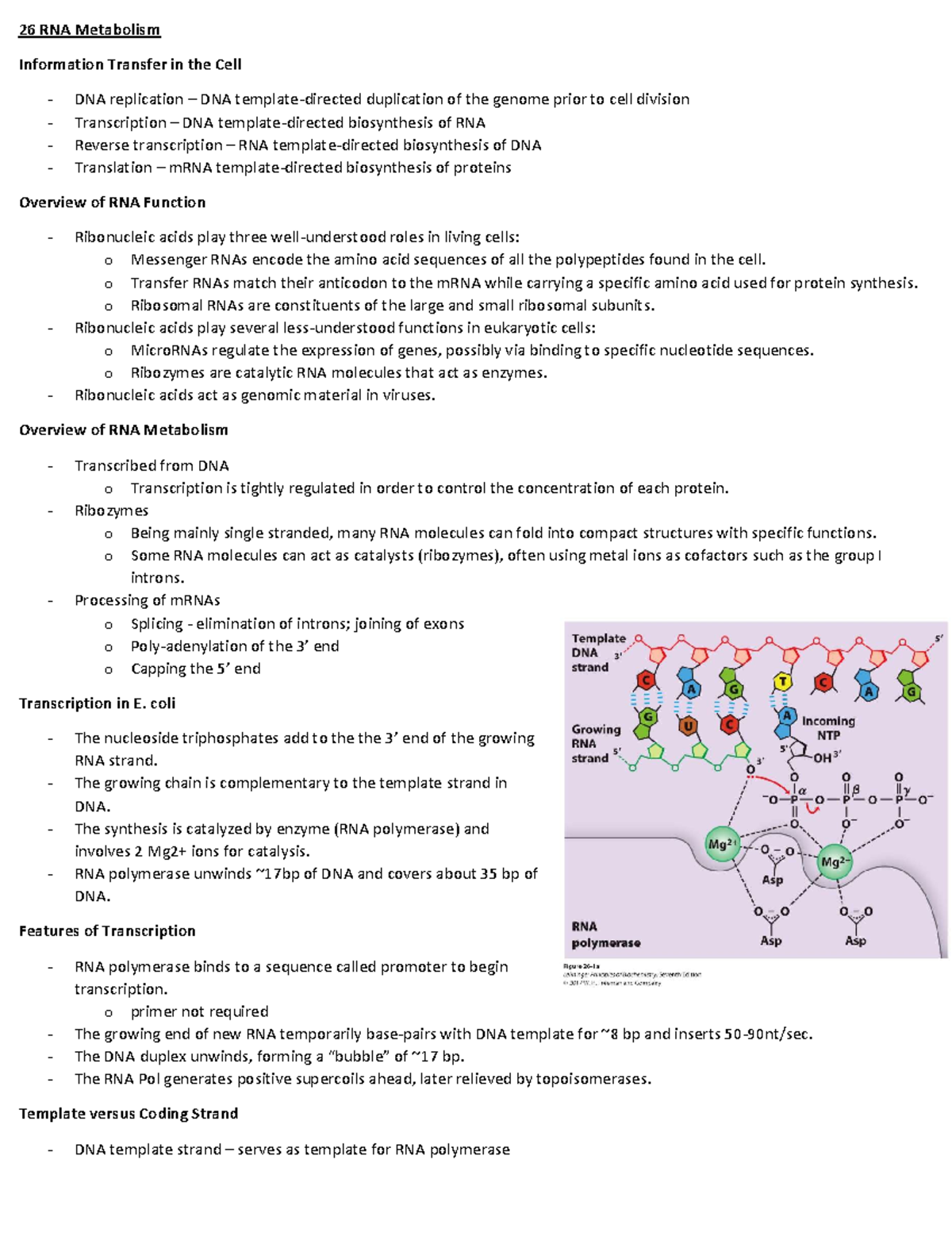 26 RNA - N/A - PSB 331 - MCPHS University - Studocu