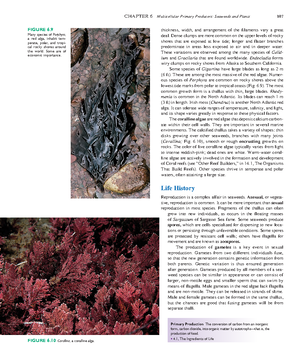 Marine biology part 16 - Ph o t o s y n th esis R e s p i r a t i o n ...