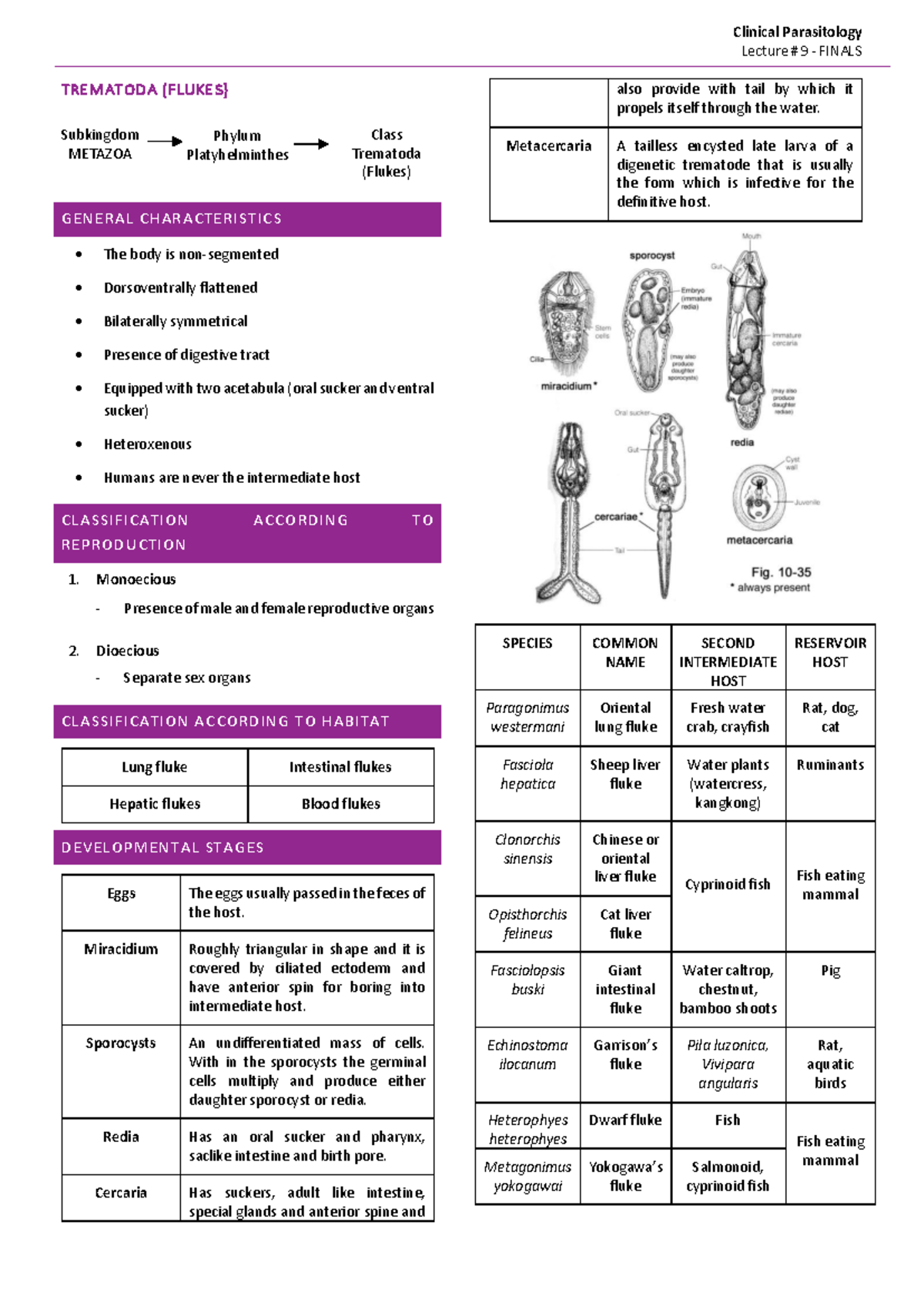 LECTURE FOR TREMATODA (FLUKES) - Clinical Parasitology Lecture # 9 ...