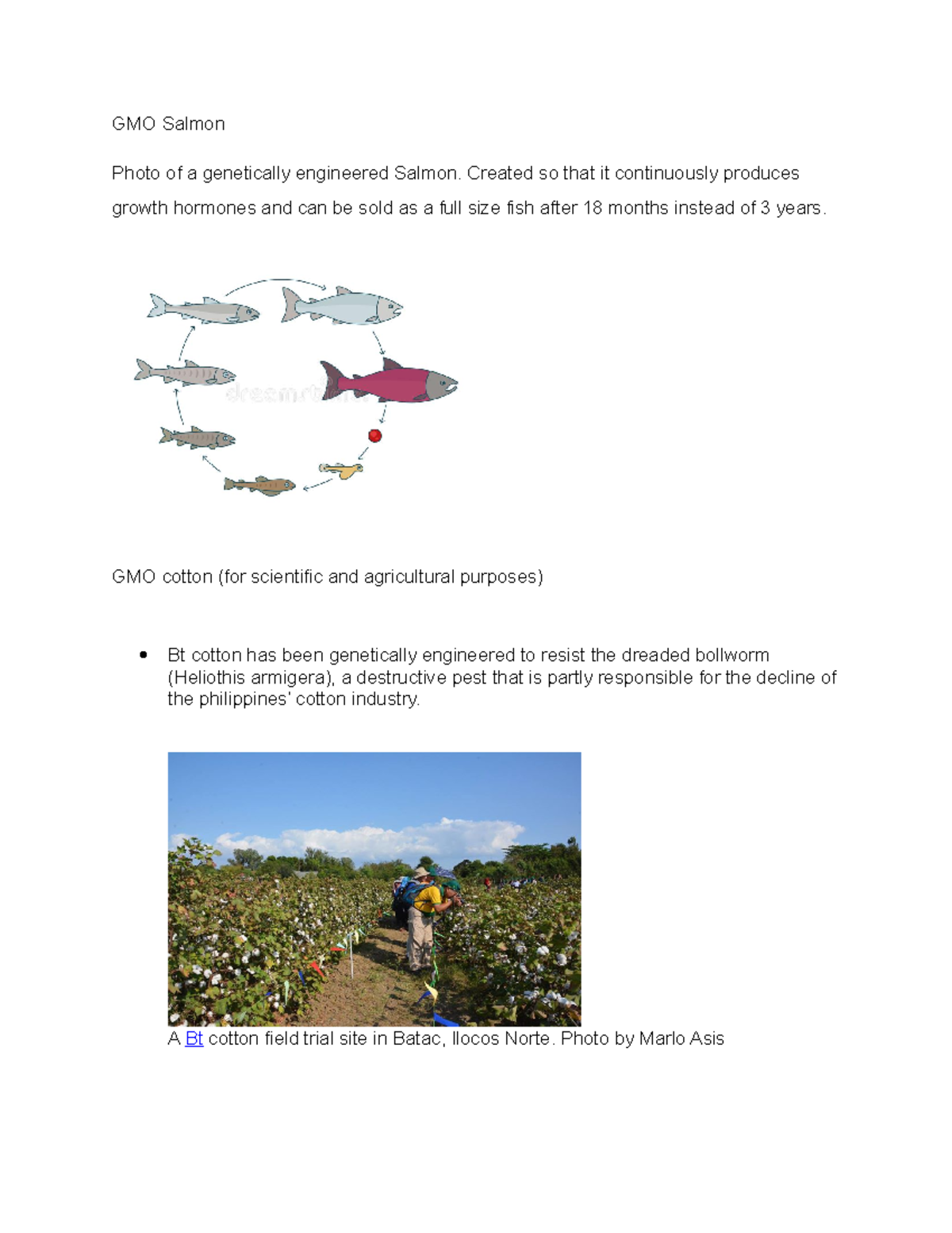 GMO concepts - GMO Salmon Photo of a genetically engineered Salmon ...