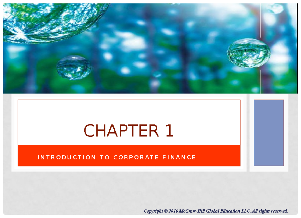 Finance 311 Chapter 1 Lecture "Introduction To Corporate Finance" - FIN ...