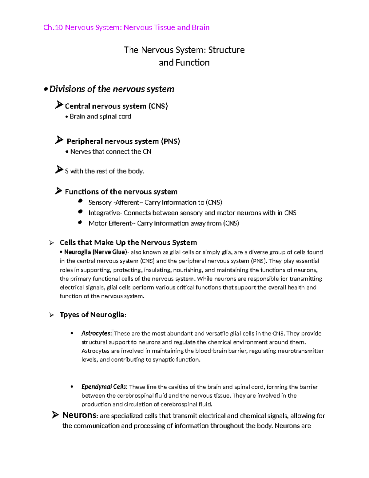 Anatomy and physiology of The Nervous System - The Nervous System ...