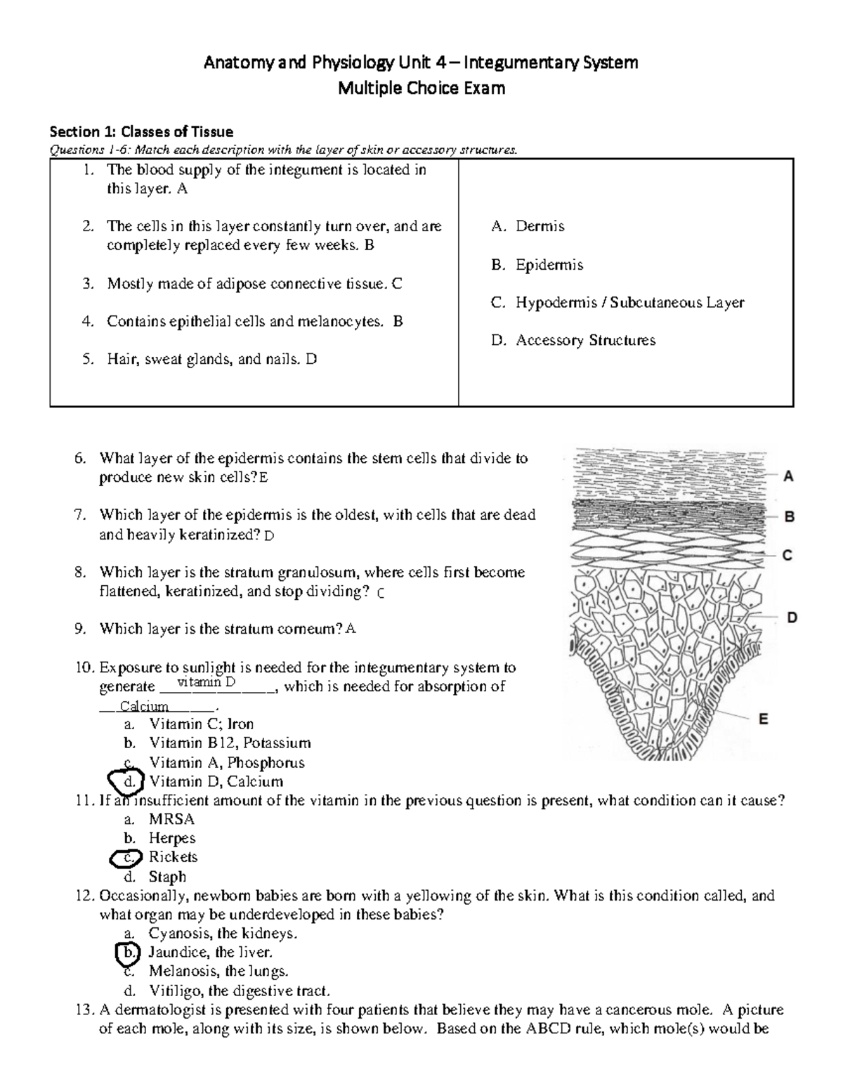 Exam High School Level Physics - Anatomy and Physiology Unit 4 ...