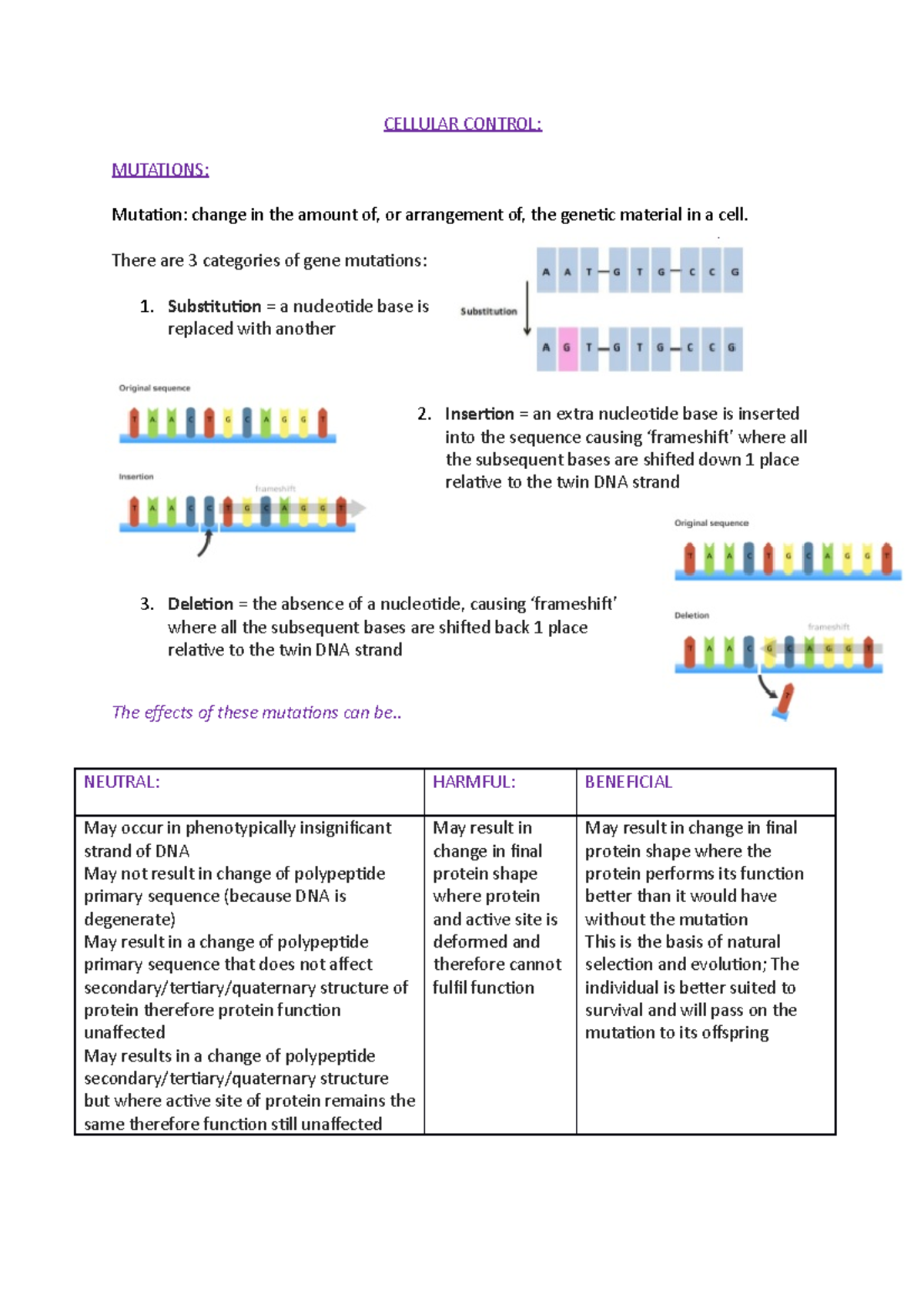 Cellular Control - summary - CELLULAR CONTROL: MUTATIONS: Mutation ...