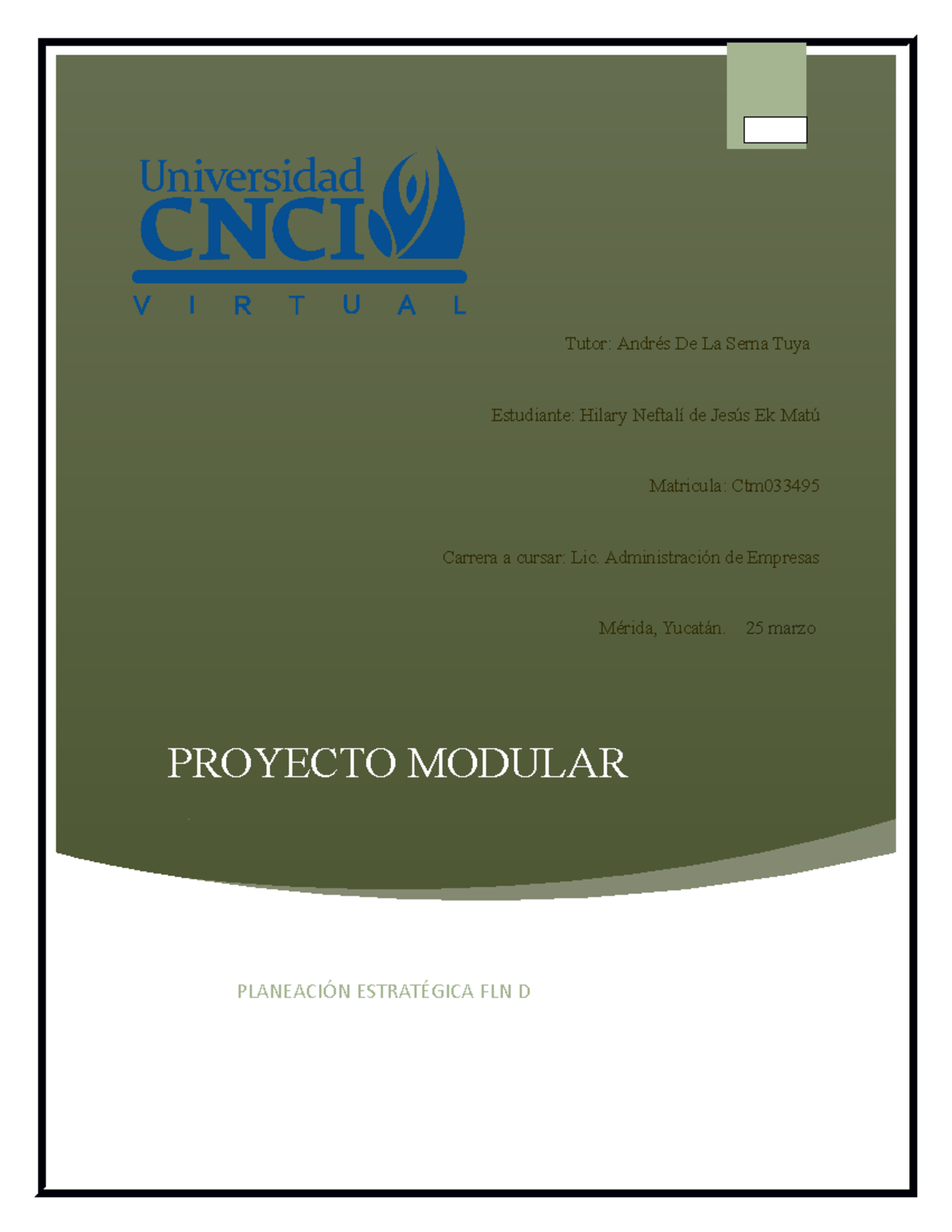 Proyecto Modular, Planeación estratégica FLN D - PROYECTO MODULAR Tutor ...