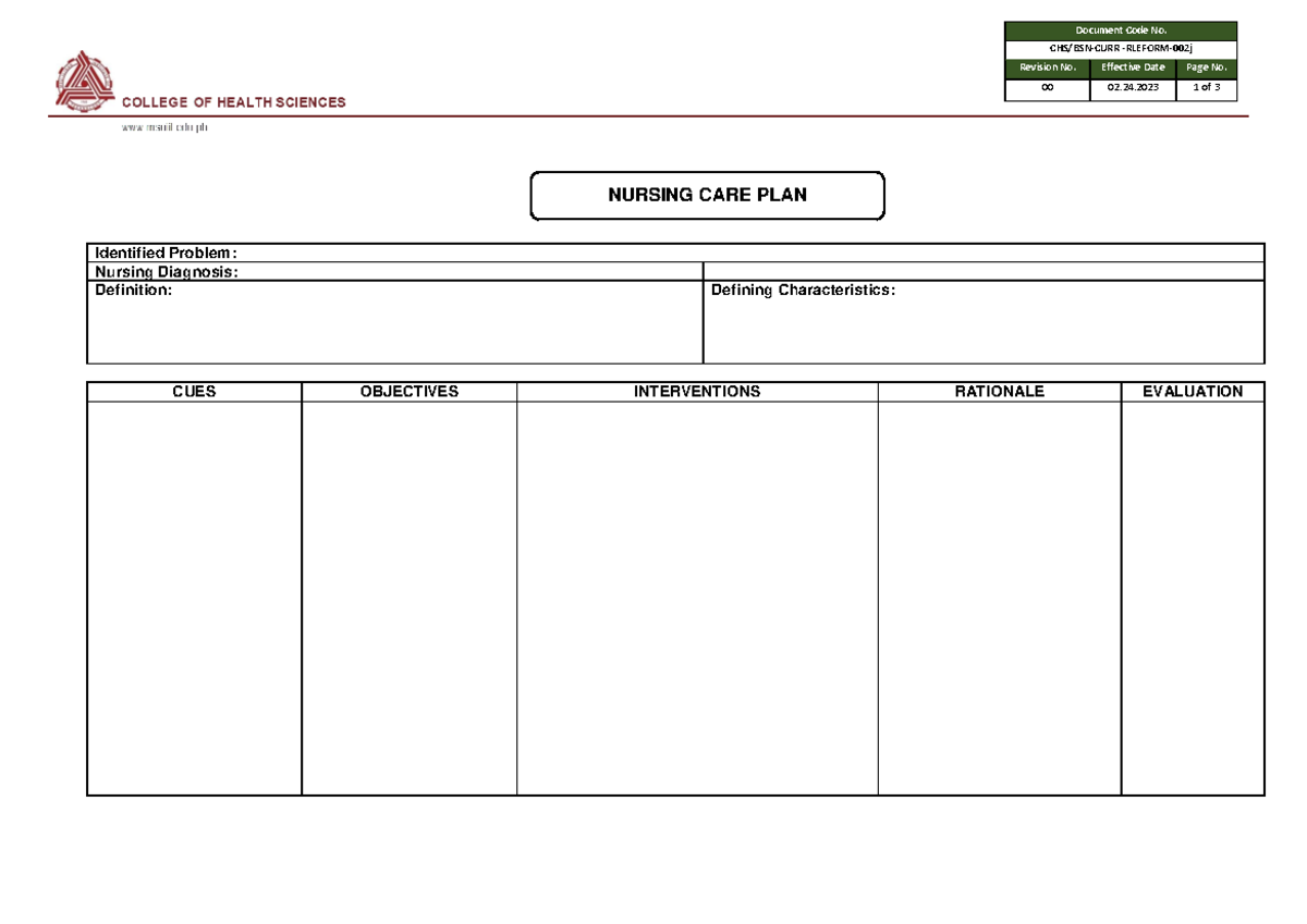 002j Nursing CARE PLAN - NCP - Document Code No. CHS/BSN-CURR - RLEFORM ...