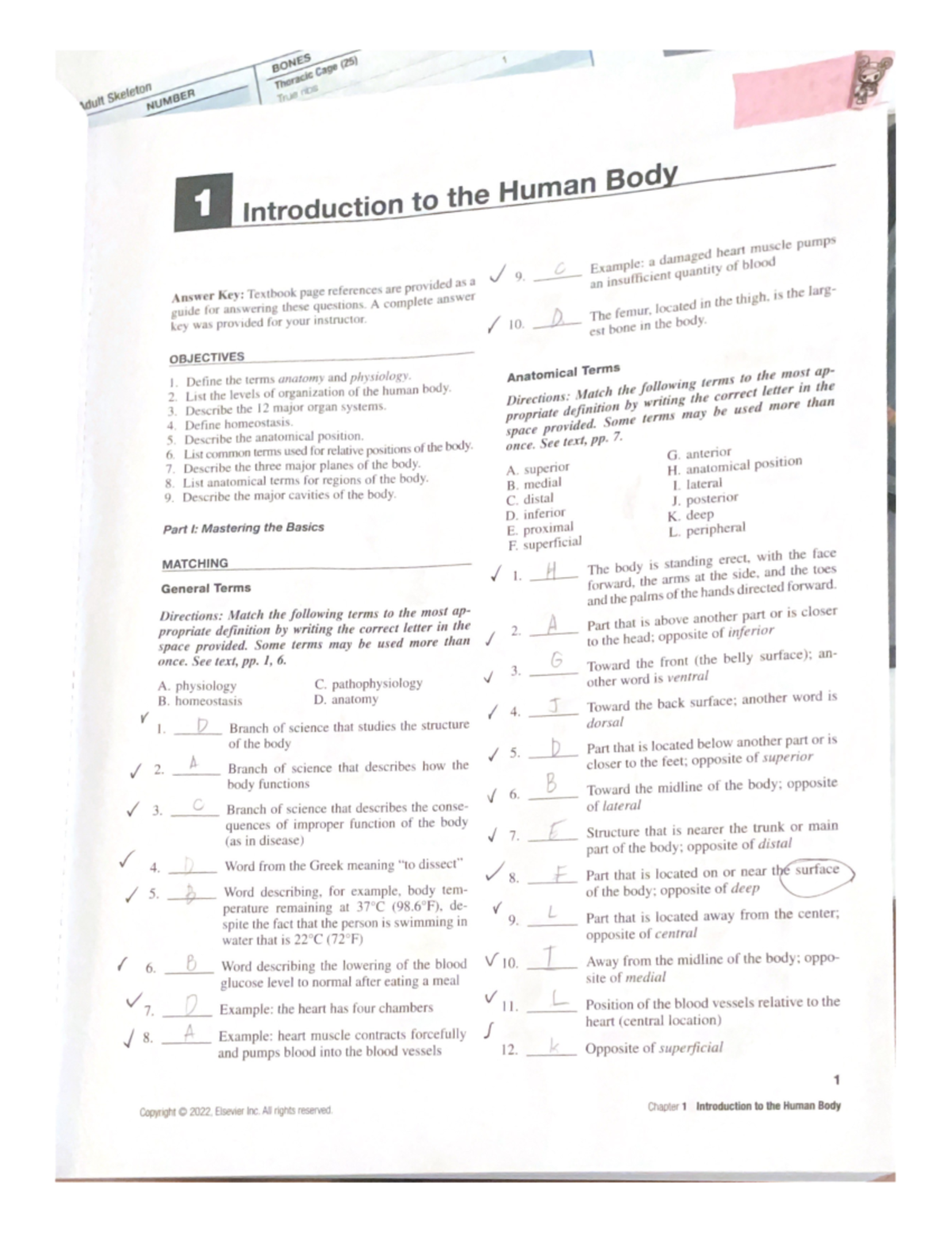 Study Guide Chapter 1 and 7 A+P - BIO 201A - Studocu