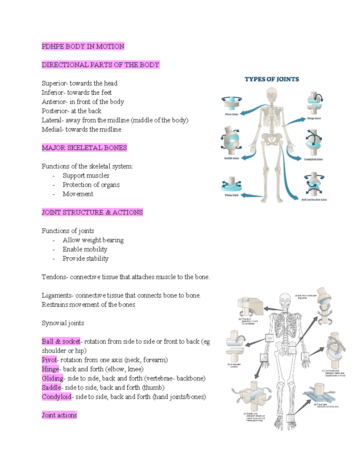 Pdhpe BODY IN Motion - PDHPE BODY IN MOTION DIRECTIONAL PARTS OF THE ...