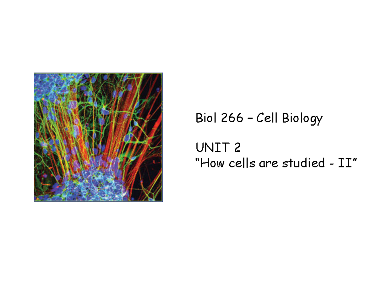 UNIT 2-2 - Unit2-2 - Biol 266 – Cell Biology UNIT 2 “How cells are ...