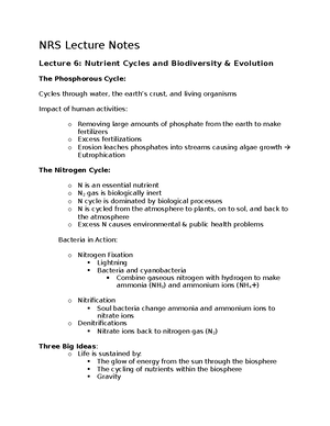 Wetland Resume 2 - the example of assignment of summarizing. - Wetland classifications ...