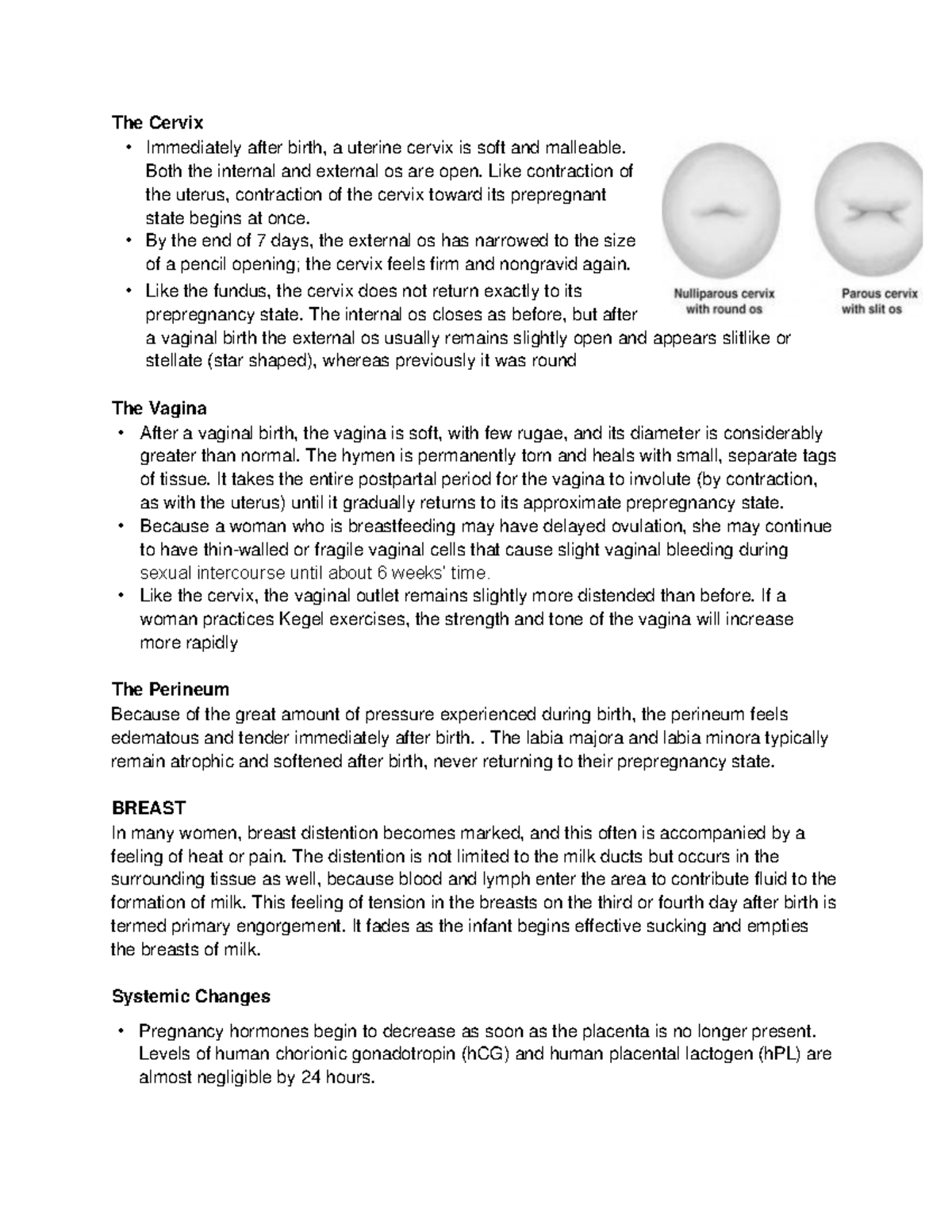 The Cervix - Both the internal and external os are open. Like ...