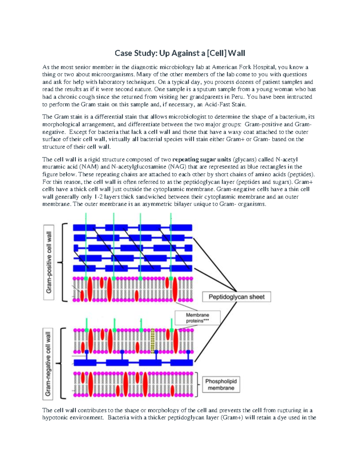 Up Against A Cell Wall Case Study - Case Study: Up Against a [Cell ...