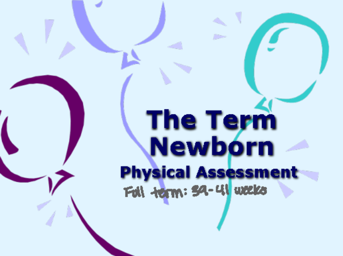 Term Newborn Assessment PPT - The Term Newborn Physical Assessment Full ...